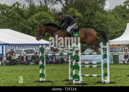 Show Jumping Edenbridge and Oxted Show Stock Photo - Alamy