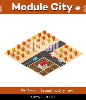 Isometric autumnal forest with trees, fir and bushes. Autumn time of ...