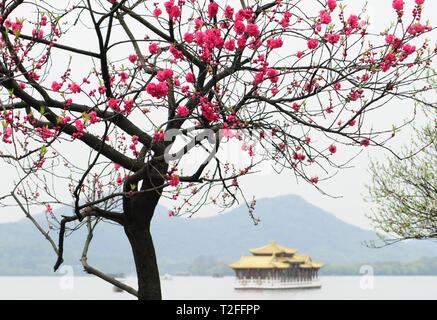 Hangzhou, Hangzhou, China. 31st Mar, 2019. Hangzhou, CHINA-Spring ...