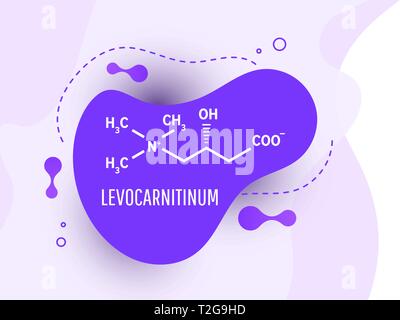 Carnitine (L-carnitine) molecule. Structural chemical formula and ...