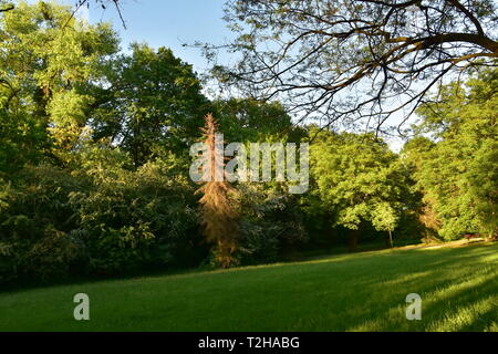 Bolko island opole Stock Photo - Alamy