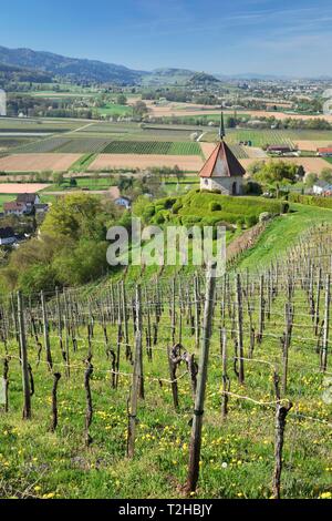 Olberg Chapel near Ehrenstetten, Markgrafler Land, Black Forest, Baden ...