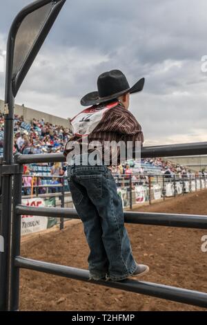 Boy at the rodeo Usa Stock Photo - Alamy