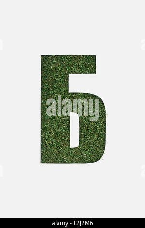 top view of cyrillic letter with natural grass on background and yellow ...