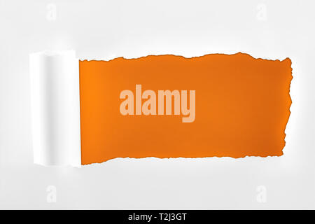 tattered textured white paper with rolled edge on pink background Stock ...