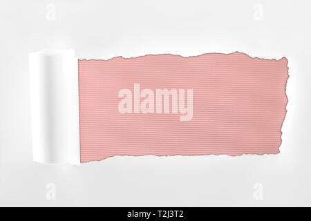 tattered white paper with rolled edge on brown background Stock Photo ...