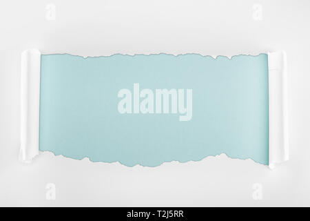 tattered white textured paper with curl edges on light blue background ...