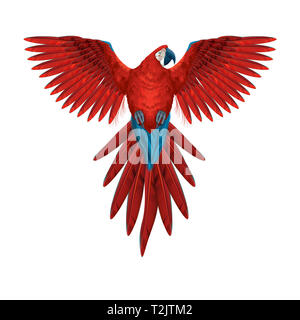 Colourful macaw parrot - multicoloured isolated flying bird - realistic ...
