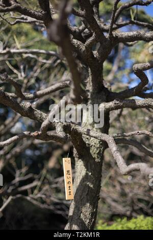 Wooden sign in a Japanese garden Stock Photo - Alamy