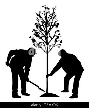 Two men planting a tree. In EPS vector file tree and worker on the ...