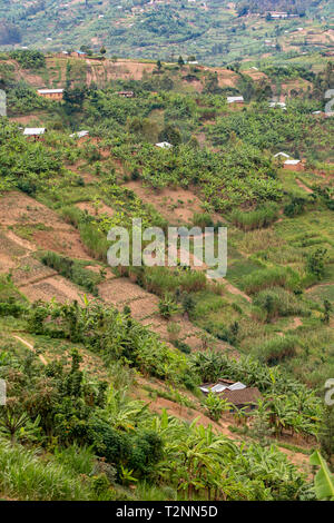 Hilly countryside dotted with plots of farmland, Rwanda Stock Photo - Alamy