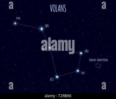 Constellation Volans, Flying Fish Stock Vector Image & Art - Alamy
