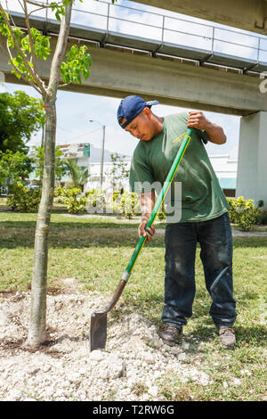 group of volunteers with trees and shovel in park Stock Photo - Alamy