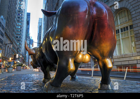balls of the charging bull statue bowling green wall street New York City USA Stock Photo - Alamy