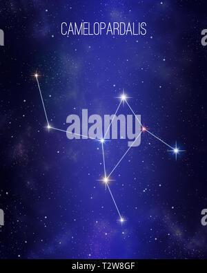 Camelopardalis the giraffe constellation on a starry space background ...