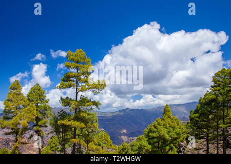 Gran Canaria, March, Landscapes of strict nature reserve Inagua ...