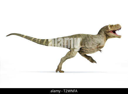 Tyrannosaurus Rex dinosaur, full body photo-realistic representation ...