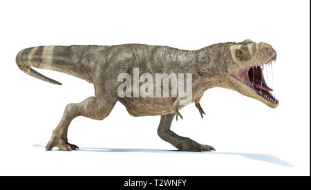 Tyrannosaurus Rex dinosaur, full body photo-realistic representation ...