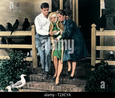 THE BIRDS, Rod Taylor, Tippi Hedren, Jessica Tandy, 1963 Stock Photo ...