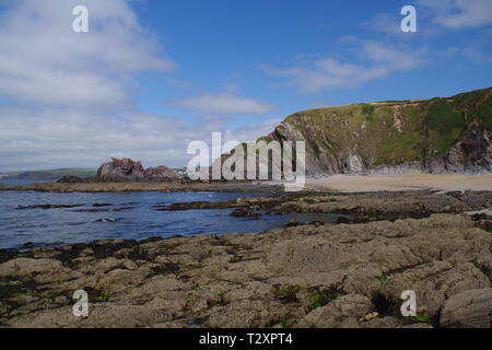 Rugged Rocky Seascape of Devonian Slate Geology, looking towards ...