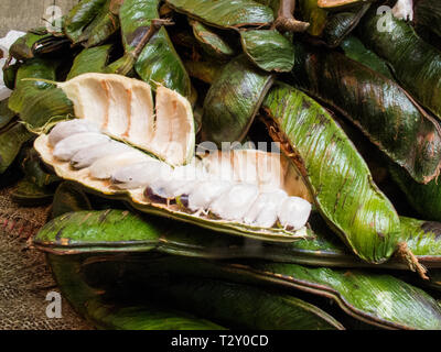 Exotic tropical fruit called guama (Inga Edulis Stock Photo - Alamy