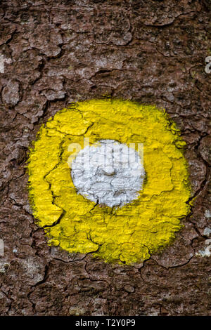 Blaze on tree marking trail along Echo Lakes near the boundary of the ...