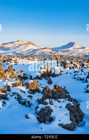 Berserkjahraun Lava Field at Bjarnarhofn on Snaefellsnes Peninsula of ...