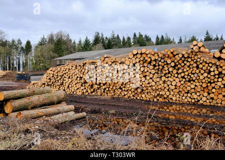 Woodyard, Lumber, Commercial, Forestry, Sustainable, Natural, Cord Wood ...