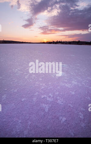 Sunrise over pink lake Crosbie in Australia - aerial panorama Stock ...