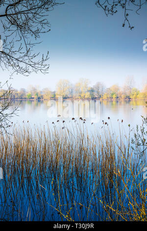 Stormy gray clouds on sky. Weather change. Global warming Stock Photo ...