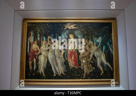 Painting Spring by Sandro Botticelli in Uffizi gallery in Florence ...