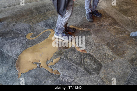 Turin city symbol - the rampant bull. In brass in the stone pavement ...