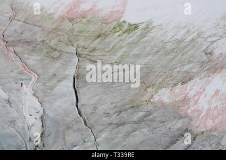 Antarctica red green algae in ice snow texture background Stock Photo ...