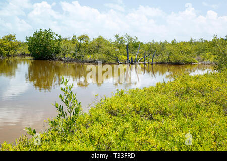 Lagoon of Chinchorro Banks, Banco Chinchorro, Caribbean Sea, Mexico ...