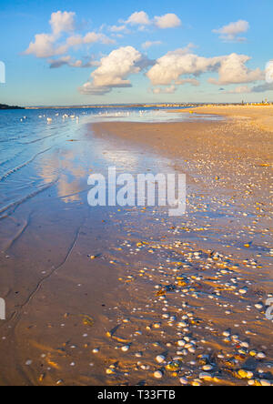 Point Walter sandbar extending out into the Swan River in in Bicton ...