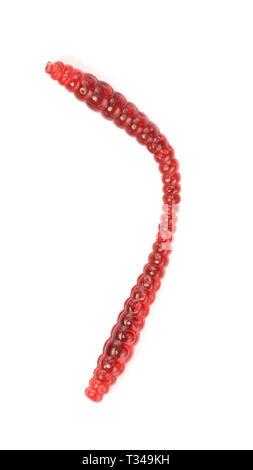 Soft Plastic EarthWorm toy Stock Photo - Alamy