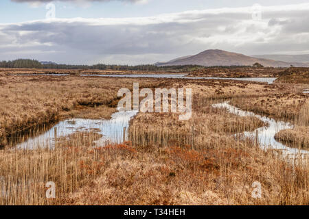 Conemara bogs with mountains in background, Maam Cross, Galway, Ireland ...
