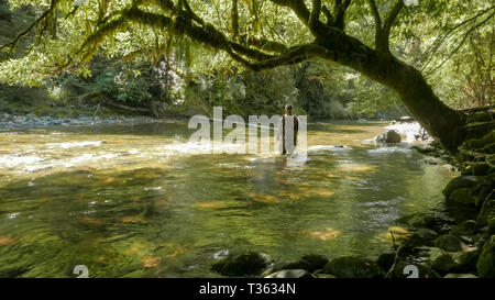 Fly fishing, South Island, Spring Creek ,New Zealand Stock Photo - Alamy