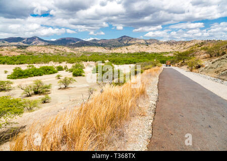 Dry savanna. Rural landscape, nature of East Timor or Timor-Leste, near ...