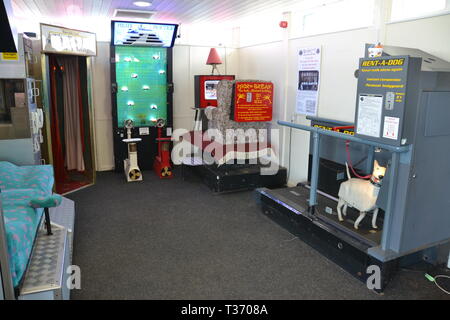 Interior of an amusement arcade on the pier in St Anne's, Lytham St ...