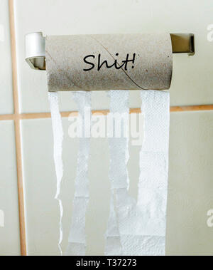 empty toilet paper roll and recycle kitchen towel tubes, recycle ...