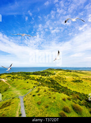 Landscape at the Dornbusch on the island of Hiddensee Stock Photo - Alamy