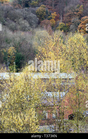 Autumn woodland in Coalbrookdale, Ironbridge Gorge UNESCO World ...