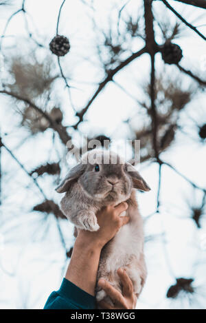 Pride and Cuddly Stock Photo - Alamy