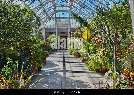 Inside the tropical greenhouse at Tower Hill Botanical Garden in ...