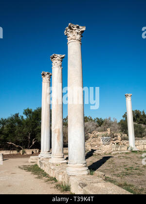 The archaeological site of Salamis, Salamis, North Cyprus, Europe Stock ...