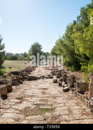 Ancient ruins and street in Salamis, North Cyprus Stock Photo - Alamy