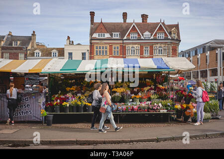 UK. FLOWER POTS IN THE MARKET TOWN OF FROME IN SOMERSET Stock Photo - Alamy