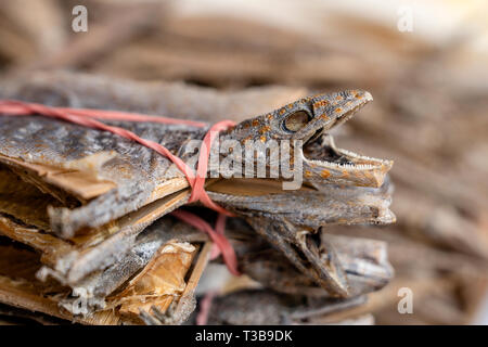 Traditional Chinese Pharmacy Stock Photo - Alamy