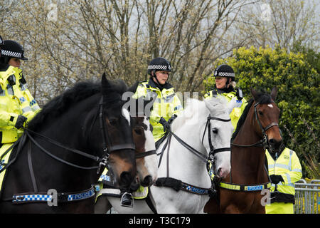 mounted police officers, police officers on horseback, police officers ...